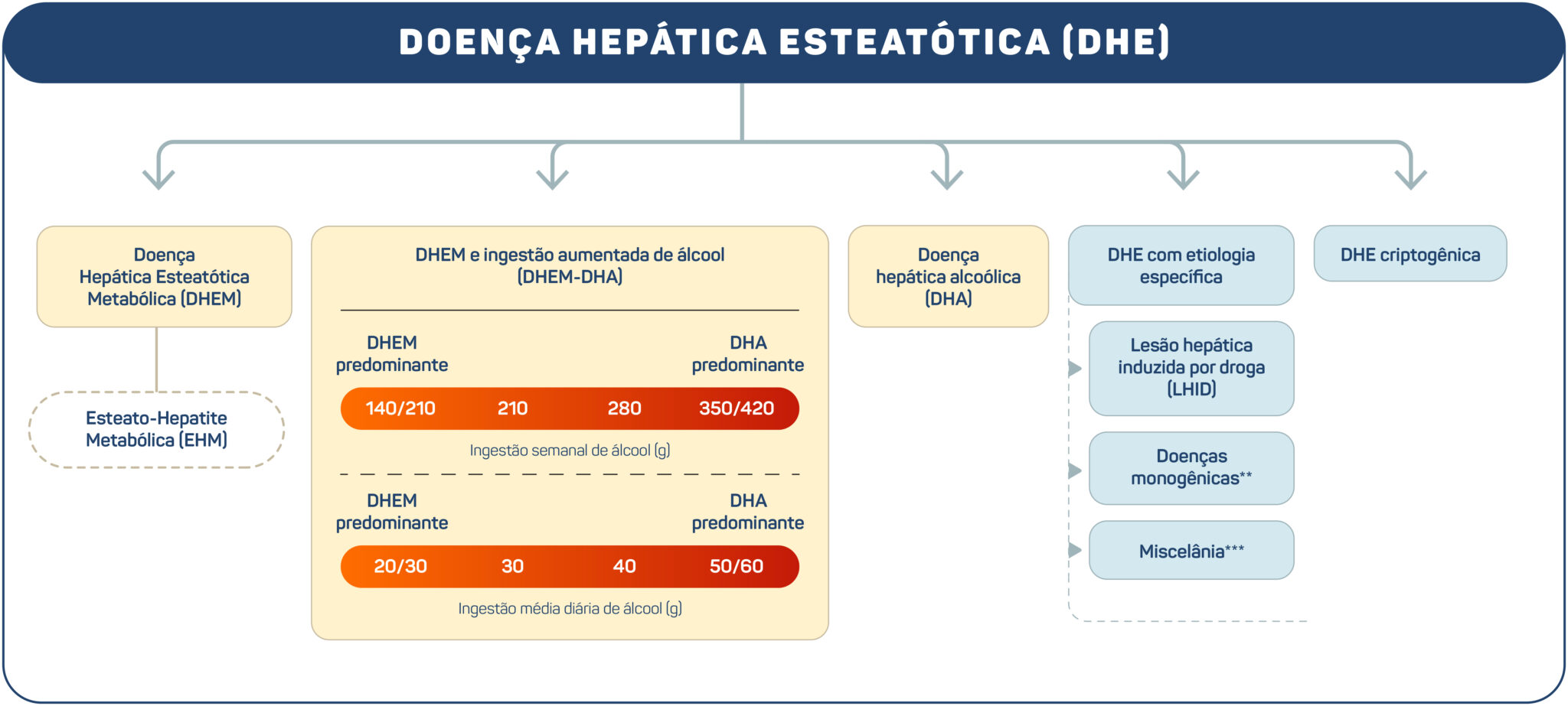 Manejo da doença hepática esteatótica metabólica (DHEM) no diabetes ...
